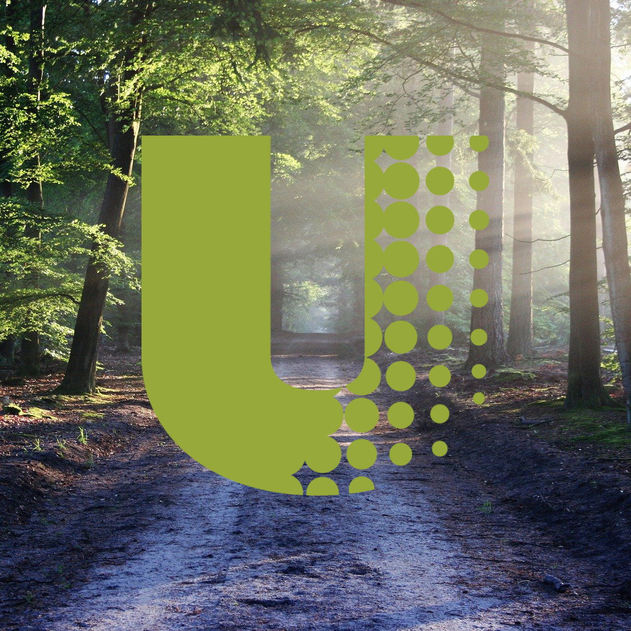 UrthPact Innovations - Real Straws for Real People